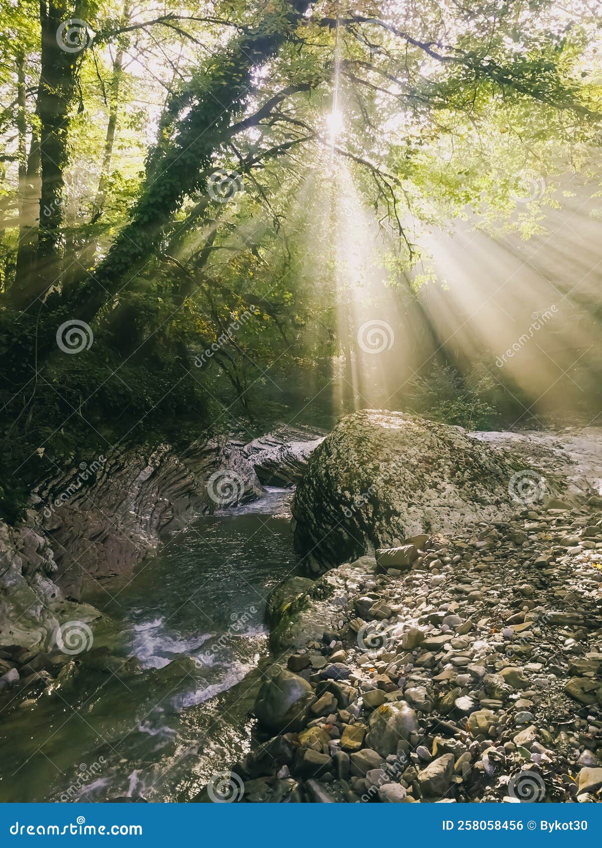 Mountain River among the Rocks in the Forest Stock Photo - Image of ...
