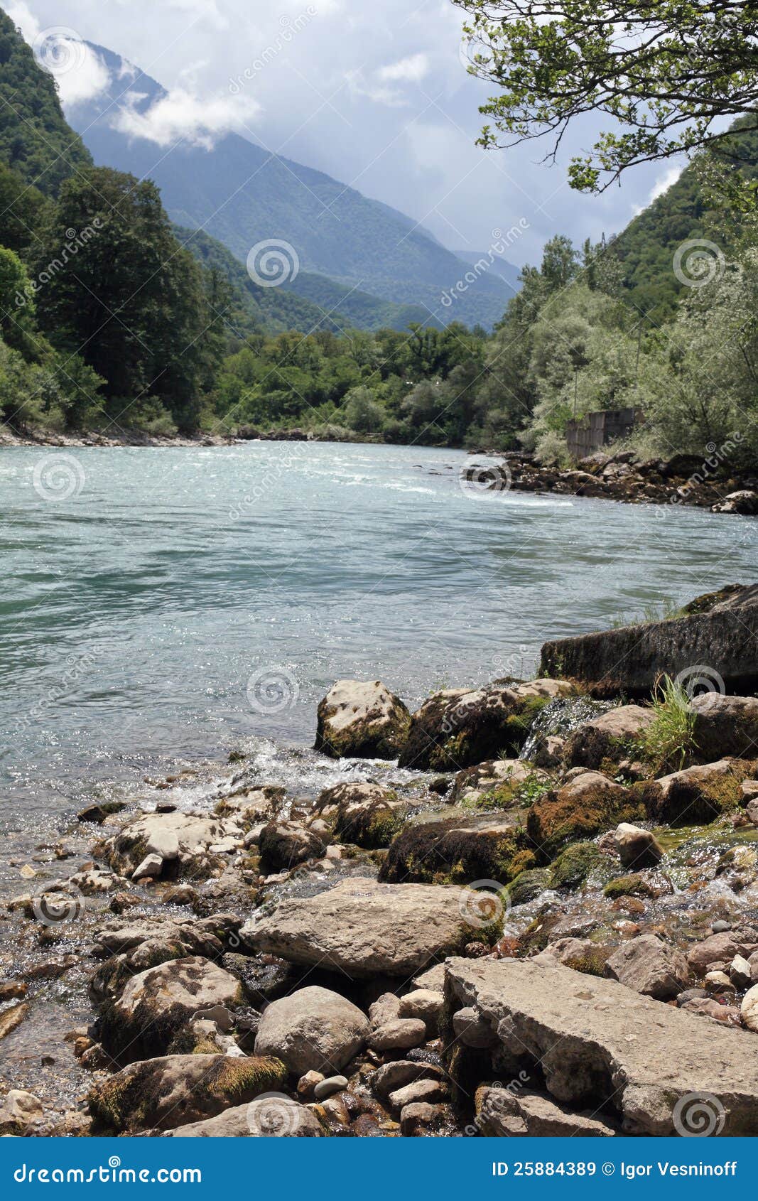 Mountain river stock image. Image of flow, river, forest - 25884389
