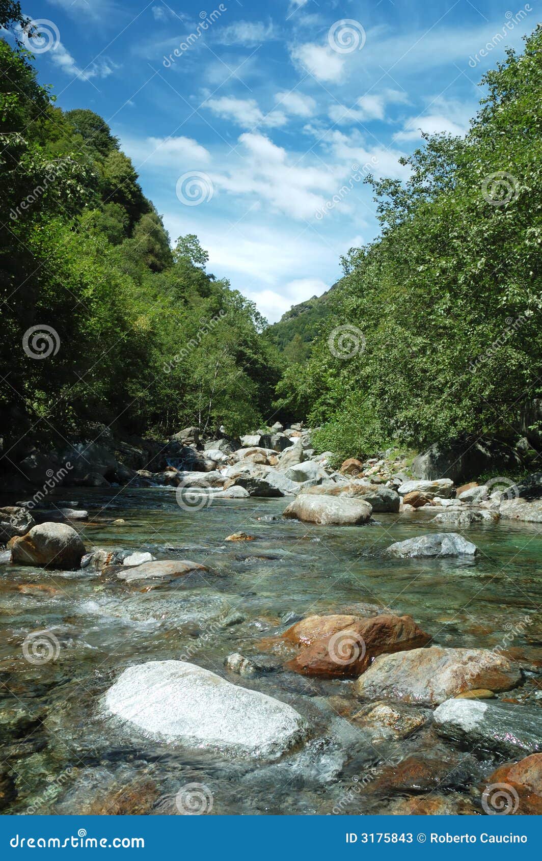 Mountain river stock image. Image of mountain, scenic - 3175843