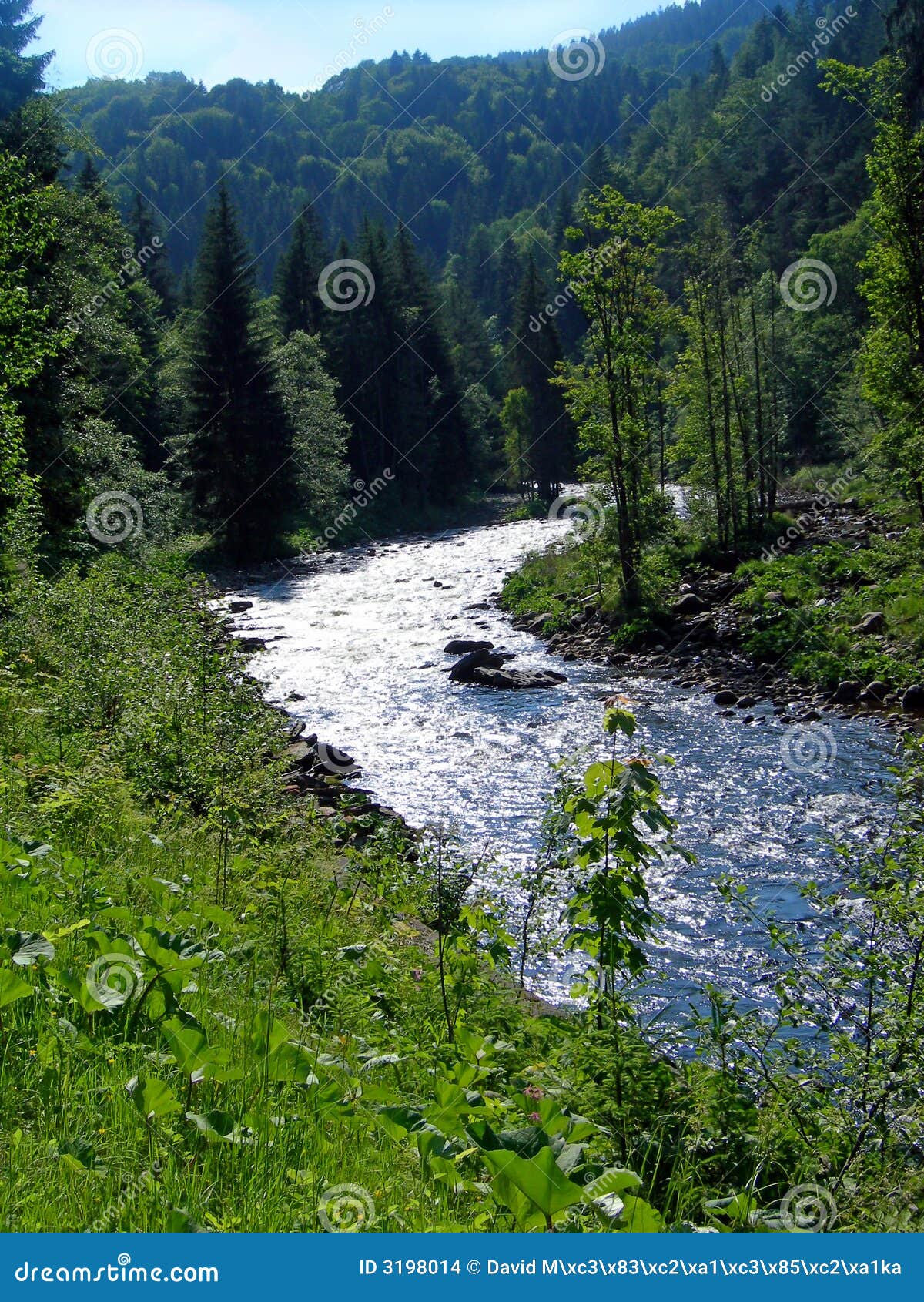 Mountain river stock photo. Image of clean, beauty, serenity - 3198014