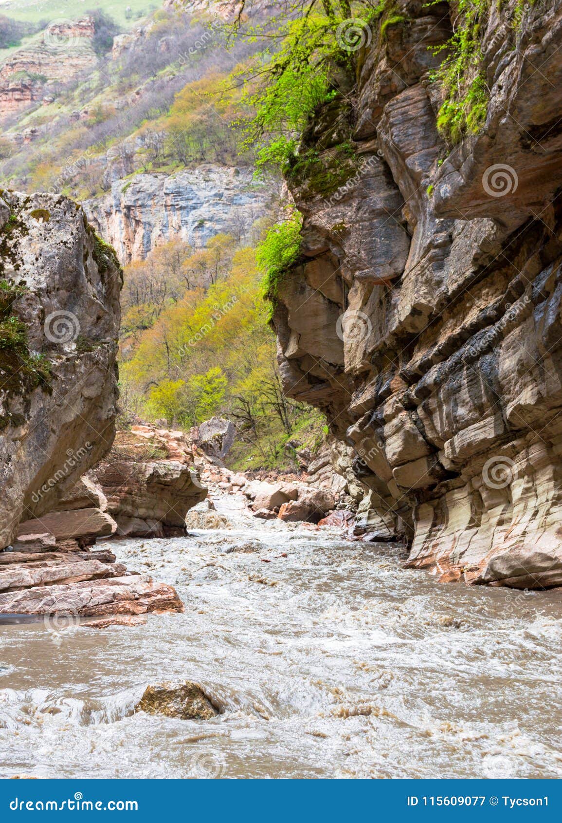 Mountain River Along the Cliffs Stock Image - Image of limestone, dirty ...