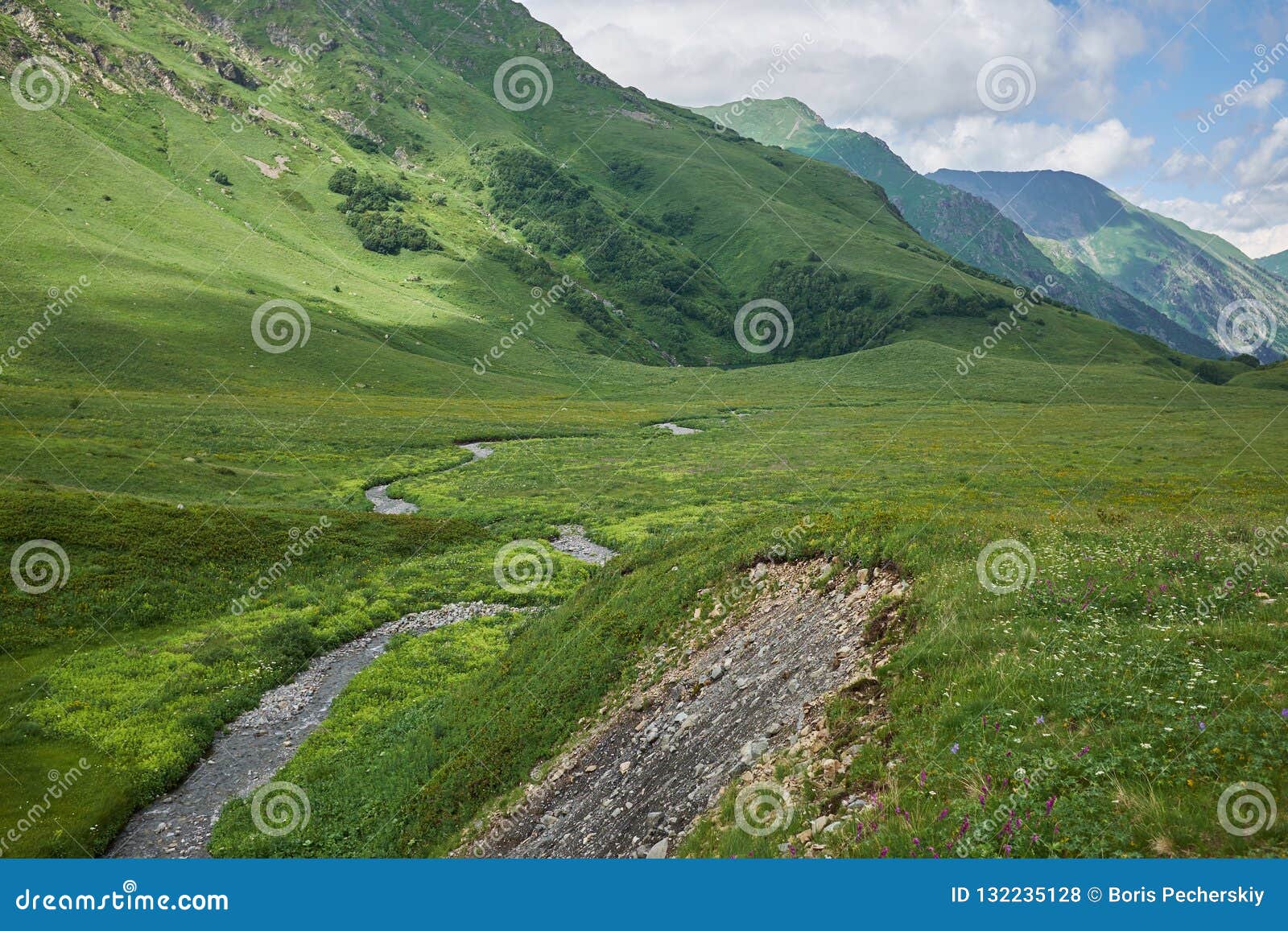 Mountain River among the Alpine Fields Stock Photo - Image of fields ...