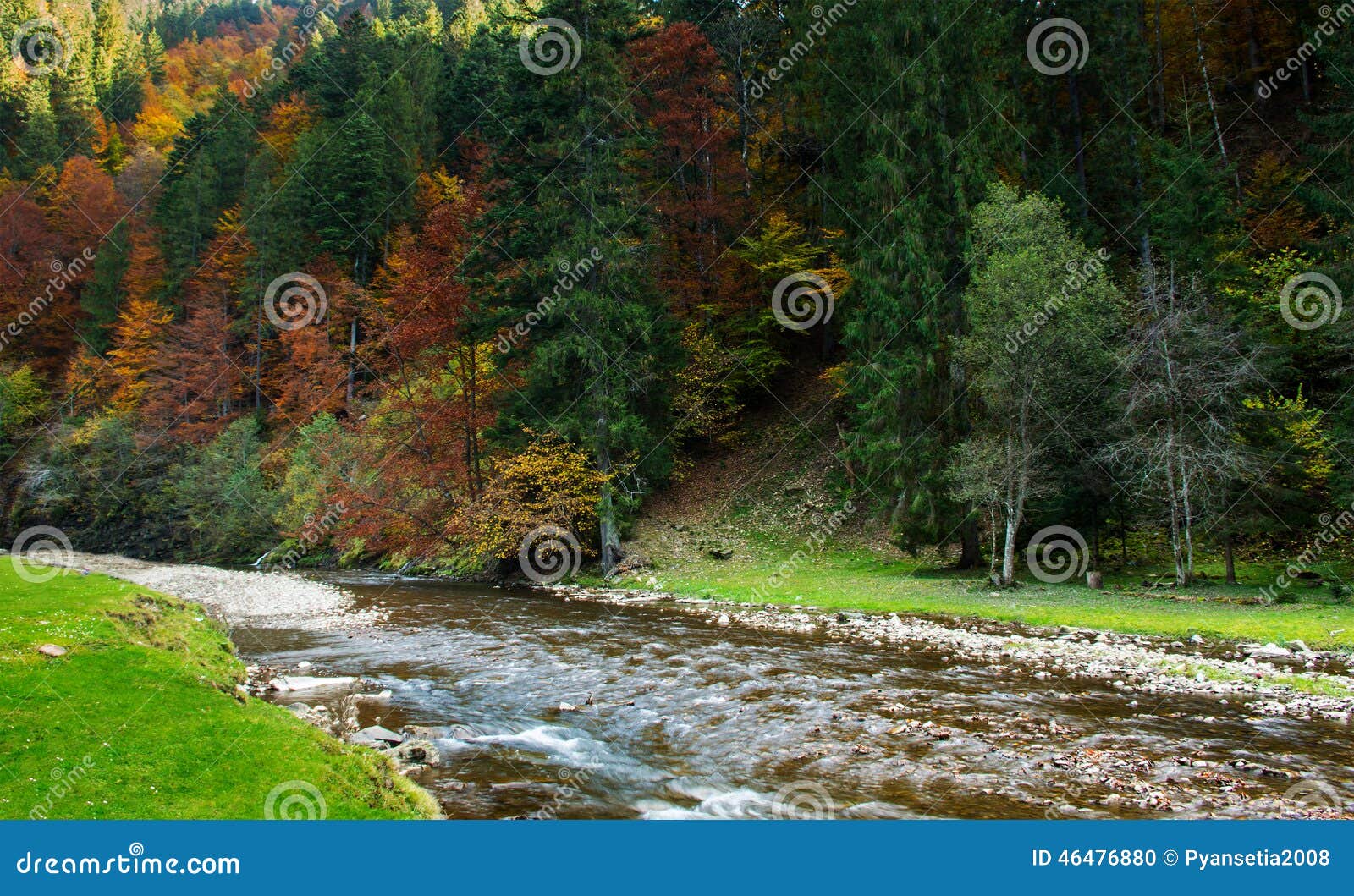 Mountain river in autumn. stock photo. Image of clear - 46476880