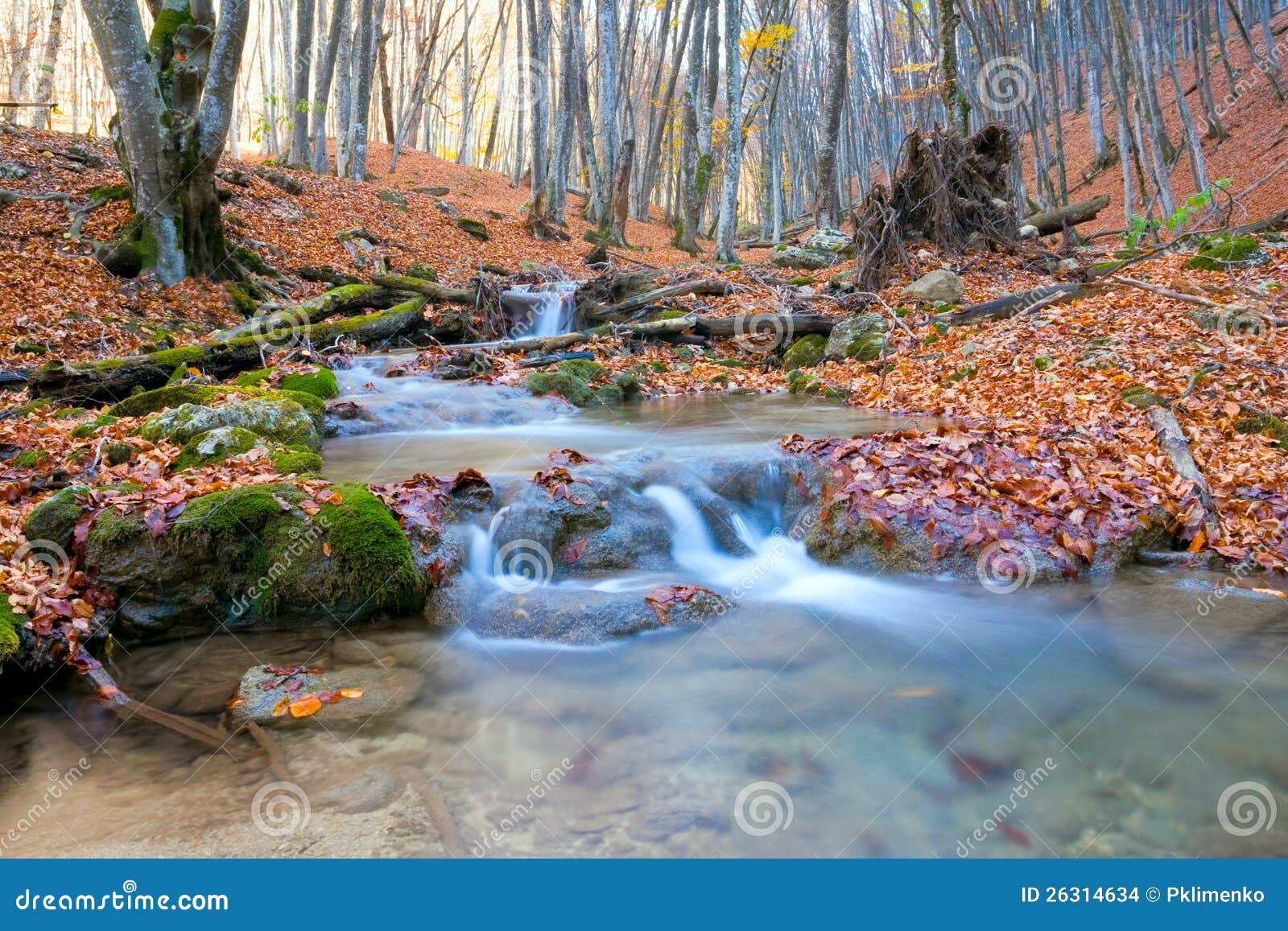 Mountain River in Autumn Forest Stock Photo - Image of rapid, lake ...
