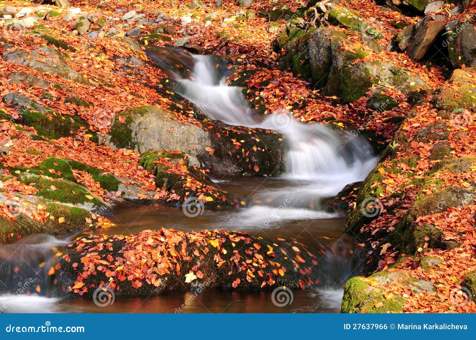 Mountain River in Autumn Forest Stock Photo - Image of autumn, stone ...