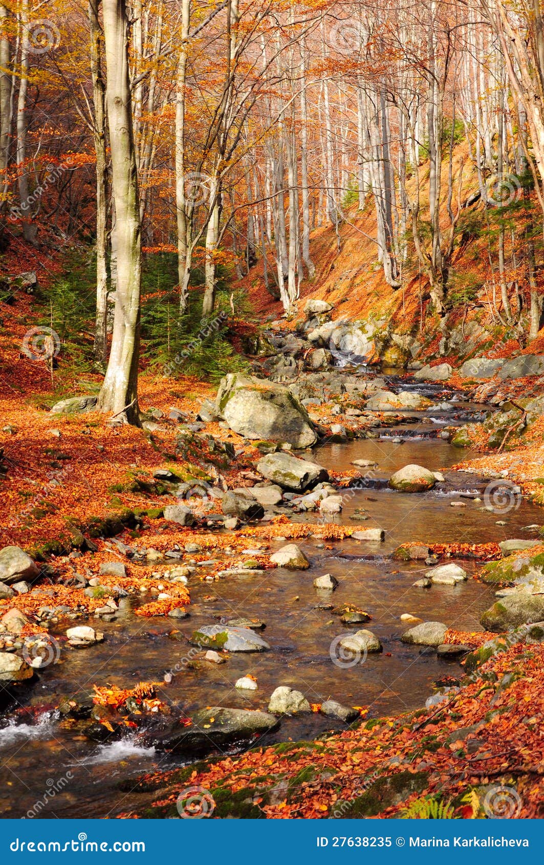 Mountain River in Autumn Forest Stock Image - Image of planina, colored ...