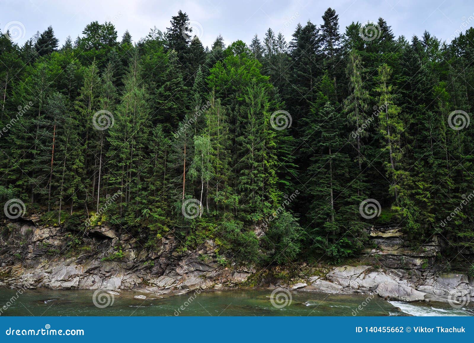 Mountain River in the Background of a Cliff with a Forest Stock Photo ...