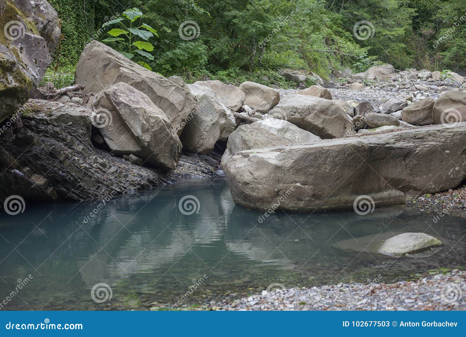 Mountain River Blocked by Stones Stock Image - Image of nature, green ...