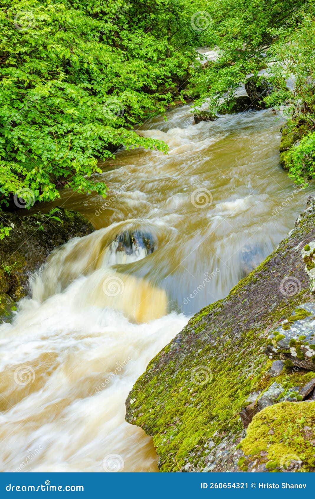 Mountain River with Cascades in Spring Stock Image - Image of peaceful ...