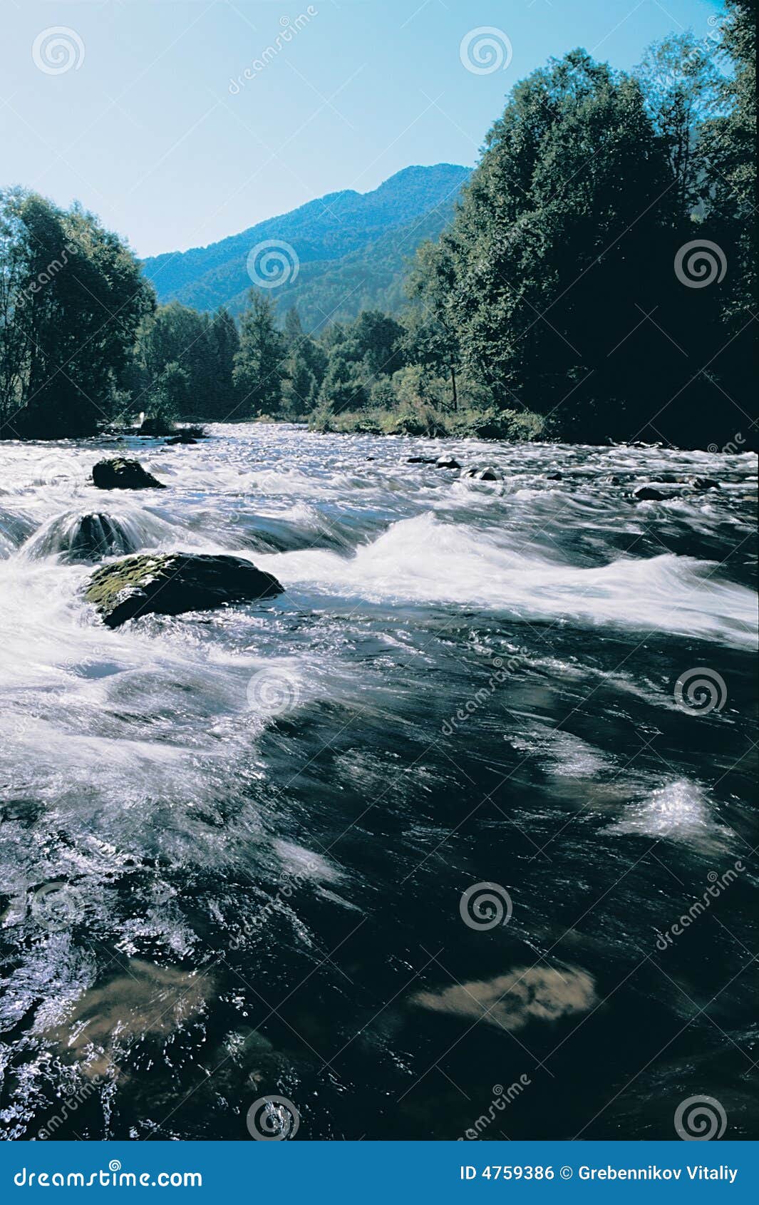 Mountain River with Clean Water. Stock Photo - Image of pure, green ...