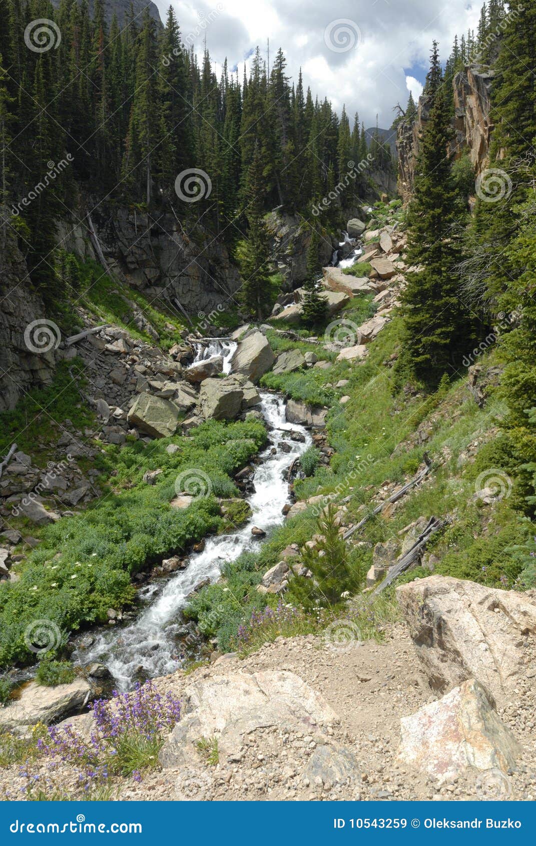 Mountain River in Colorado Rockies Stock Image - Image of park, scenic ...