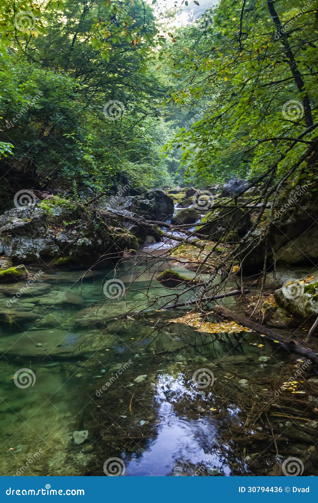 The Mountain River in the Crimea Stock Photo - Image of leaves, autumn ...
