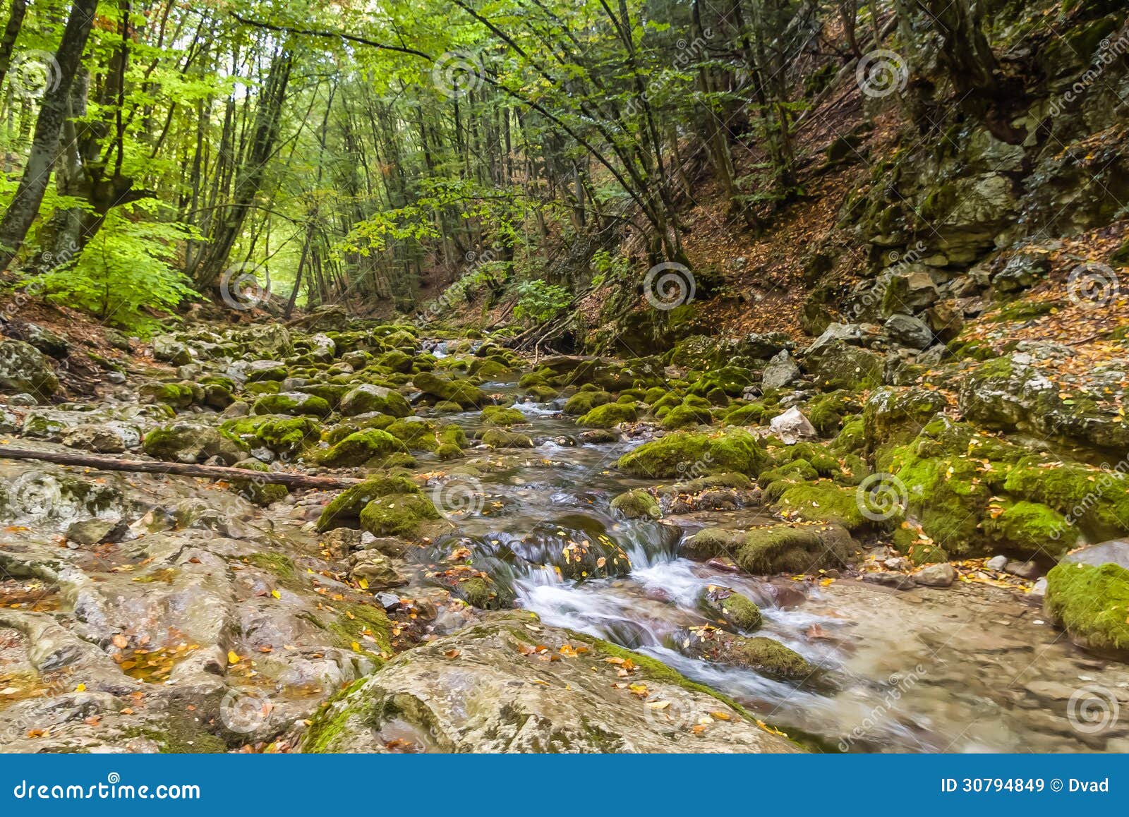 The Mountain River in the Crimea Stock Image - Image of mountain, water ...