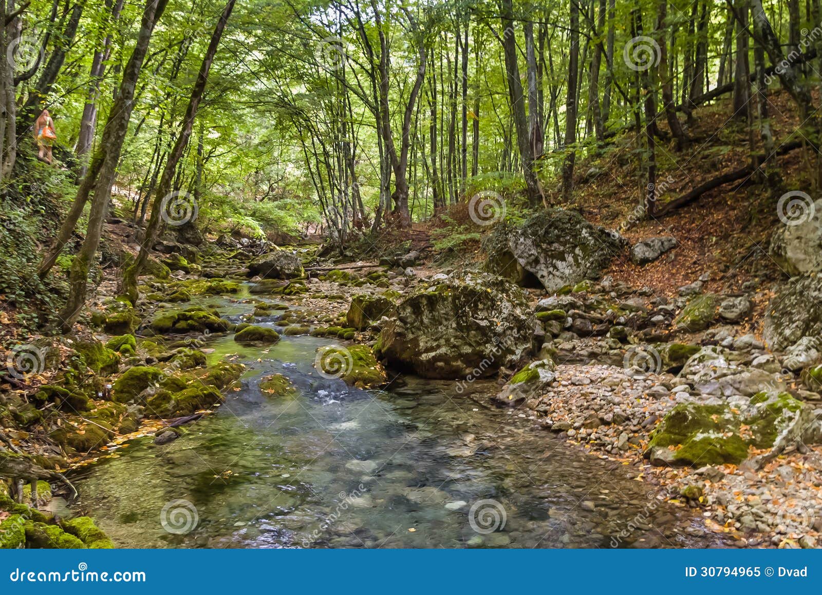 The Mountain River in the Crimea Stock Image - Image of outdoor ...