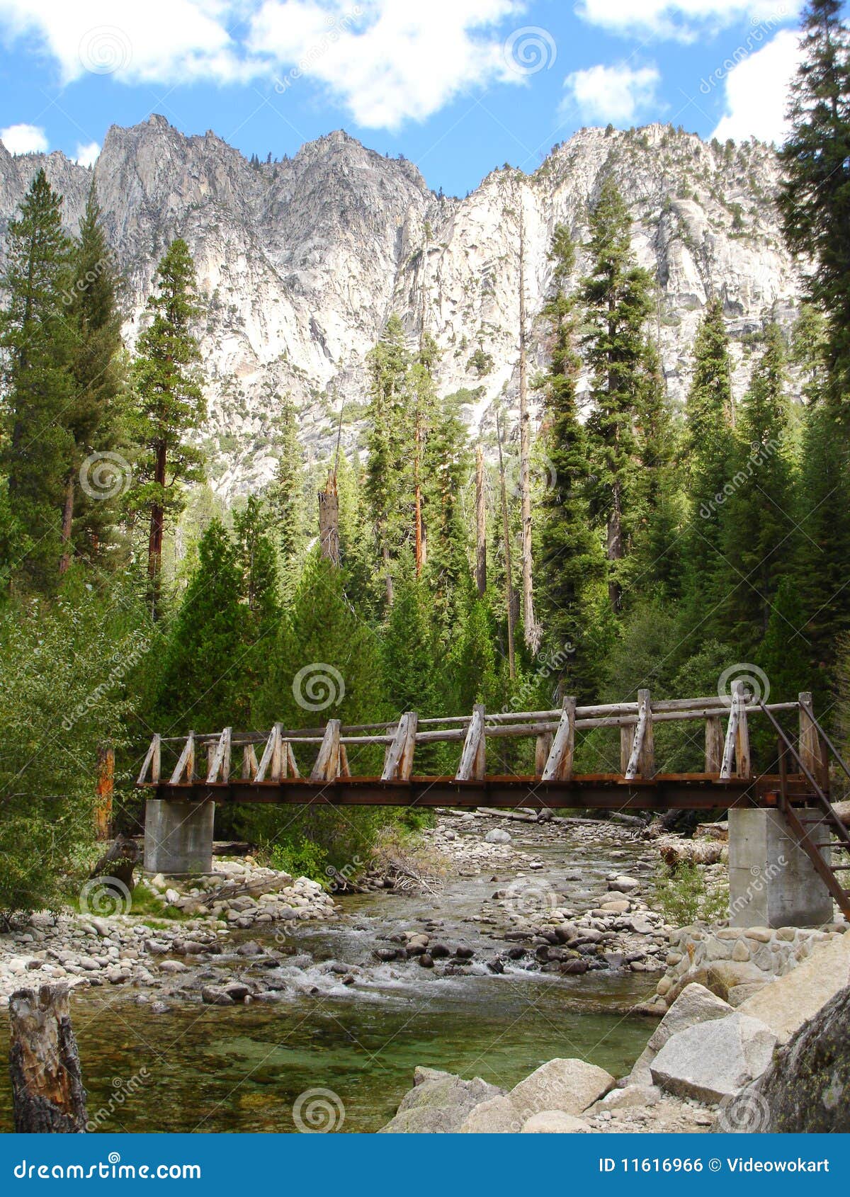 Mountain river crossing stock photo. Image of pine, mountain - 11616966