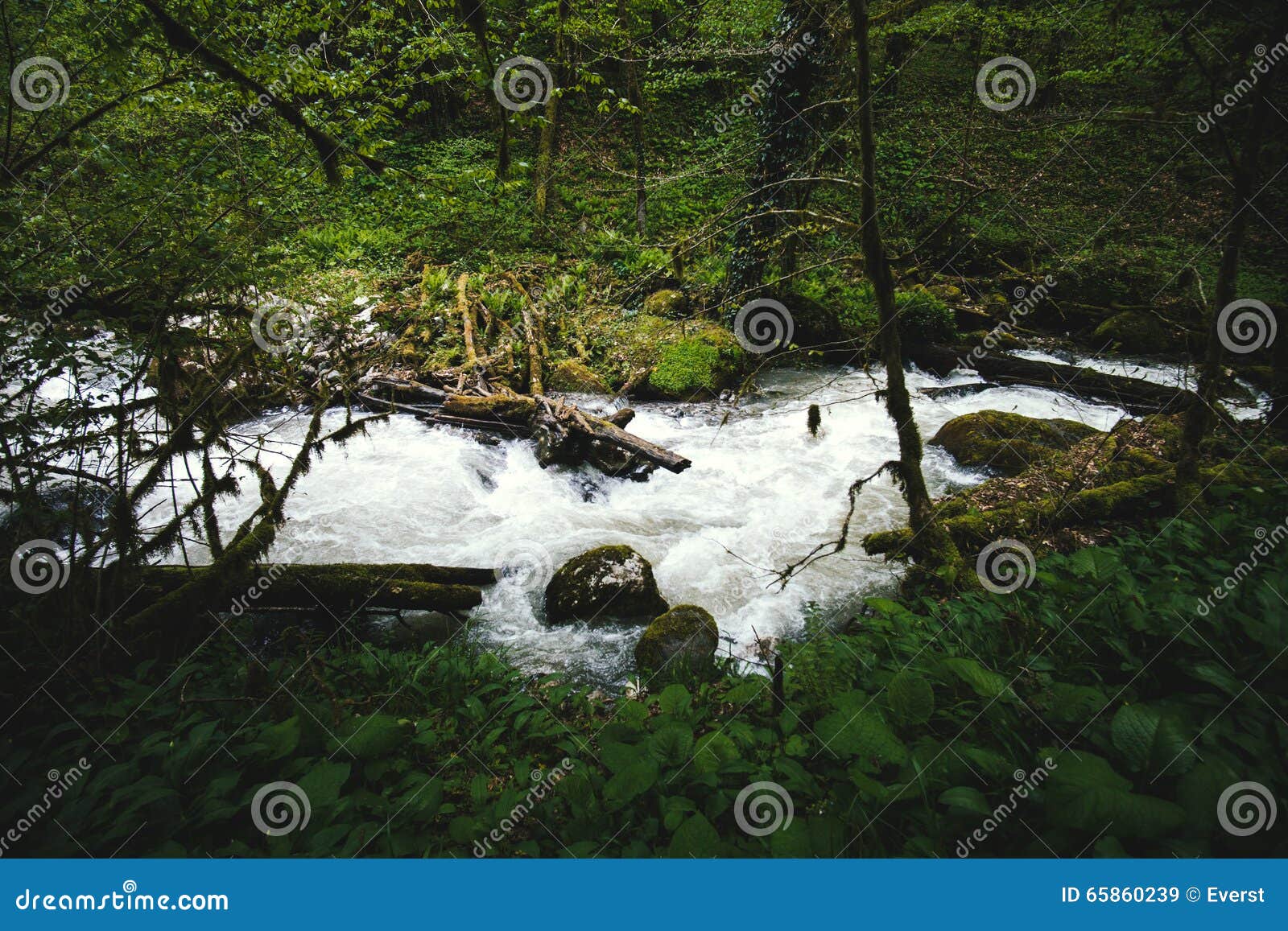 Mountain River with Deep Forest Landscape Stock Image - Image of ...