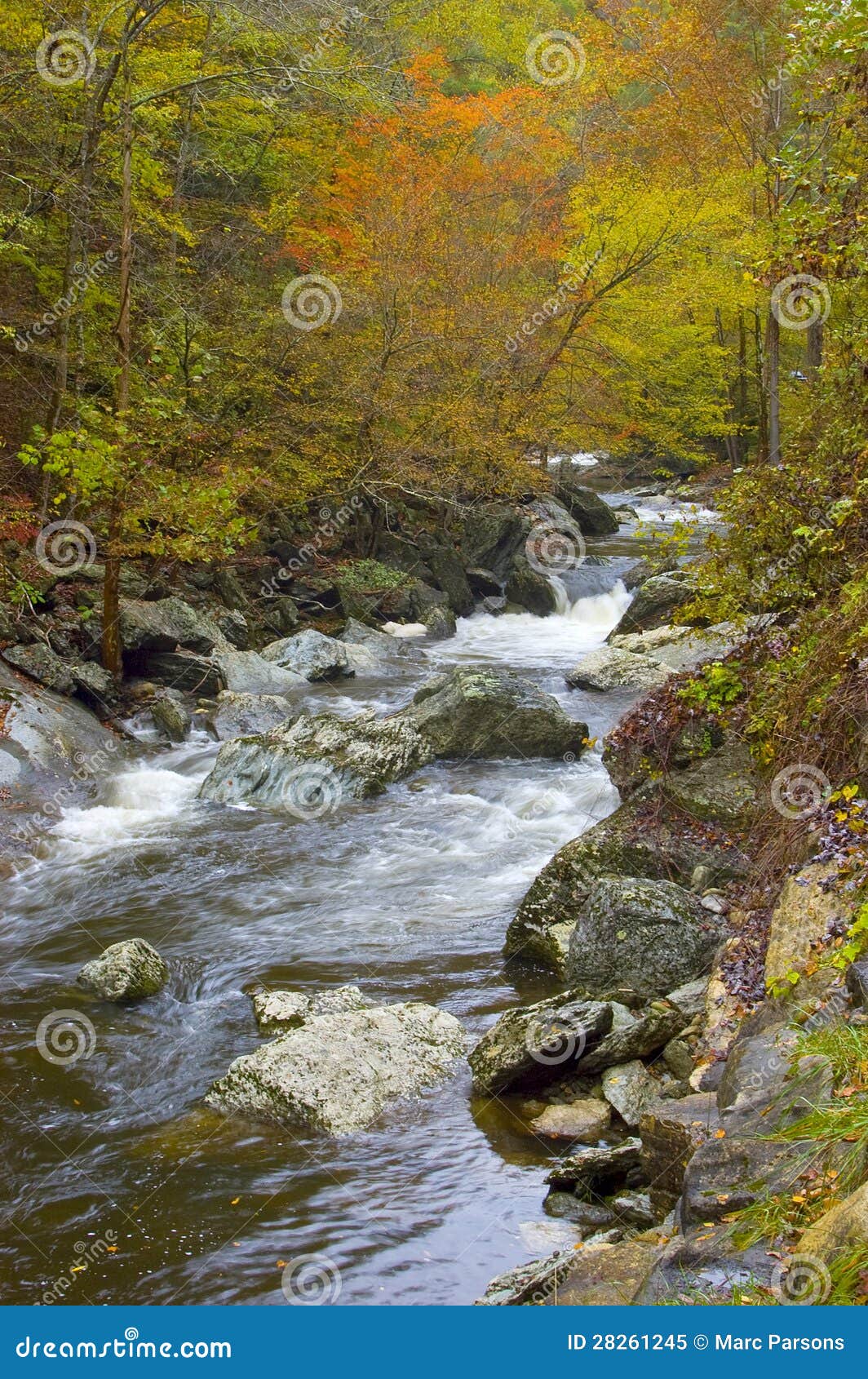 Mountain River with Fall Colors Stock Image - Image of colors, forests ...