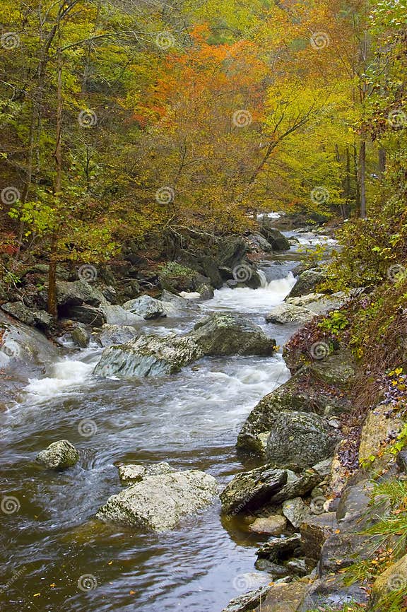 Mountain River with Fall Colors Stock Image - Image of colors, forests ...