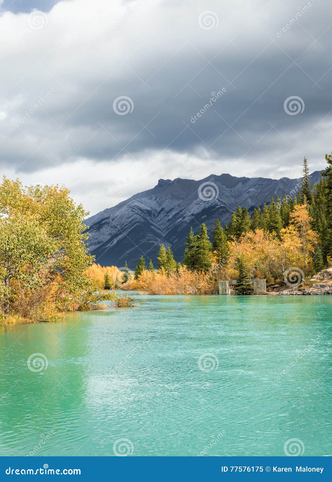 Mountain River with Fall Colours Stock Image - Image of season, canada ...