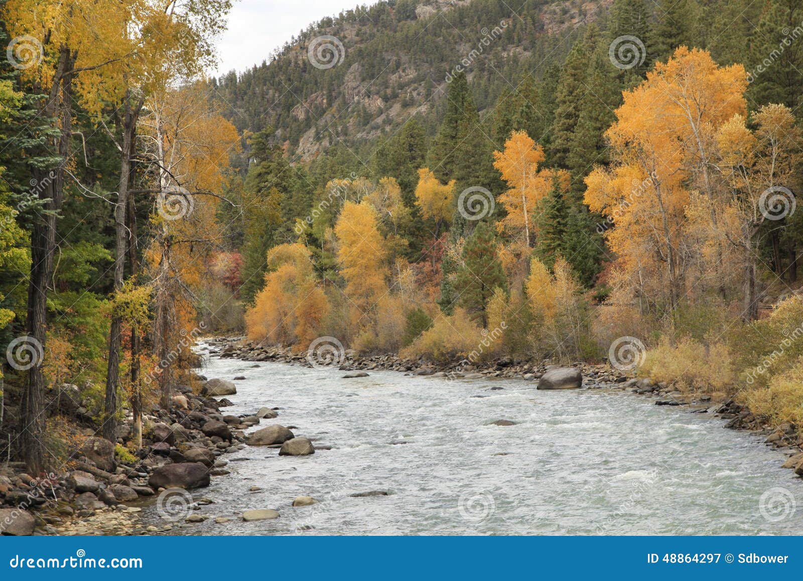 Mountain River in the Fall stock image. Image of fall - 48864297