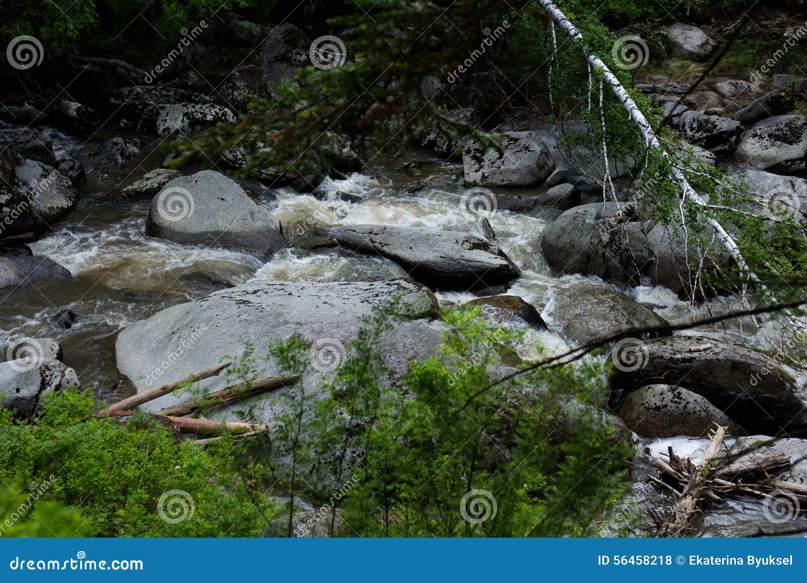 Mountain River Flowing in the Forest Stock Photo - Image of creek ...