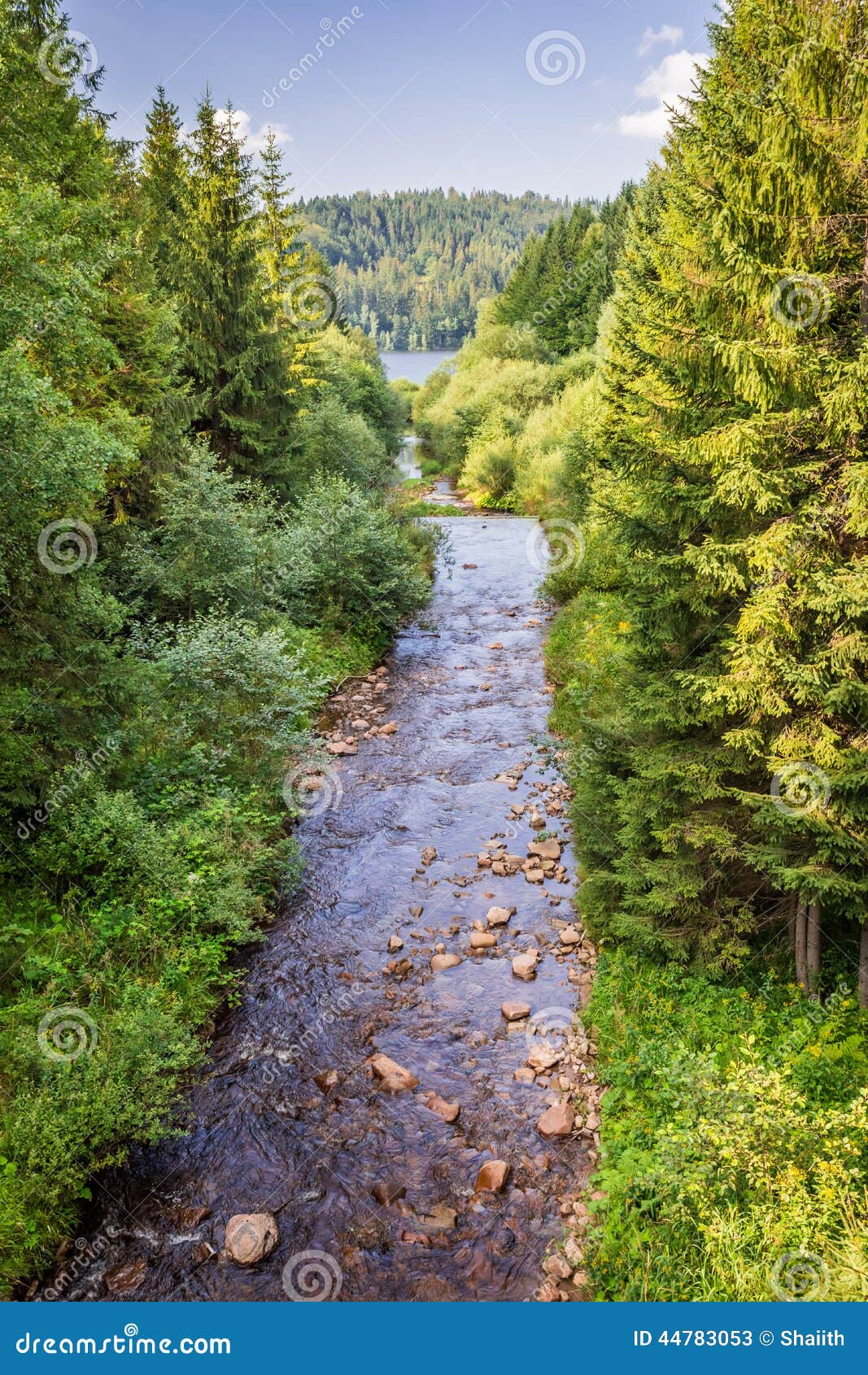 Mountain River Flowing into the Lake Stock Image - Image of cascade ...