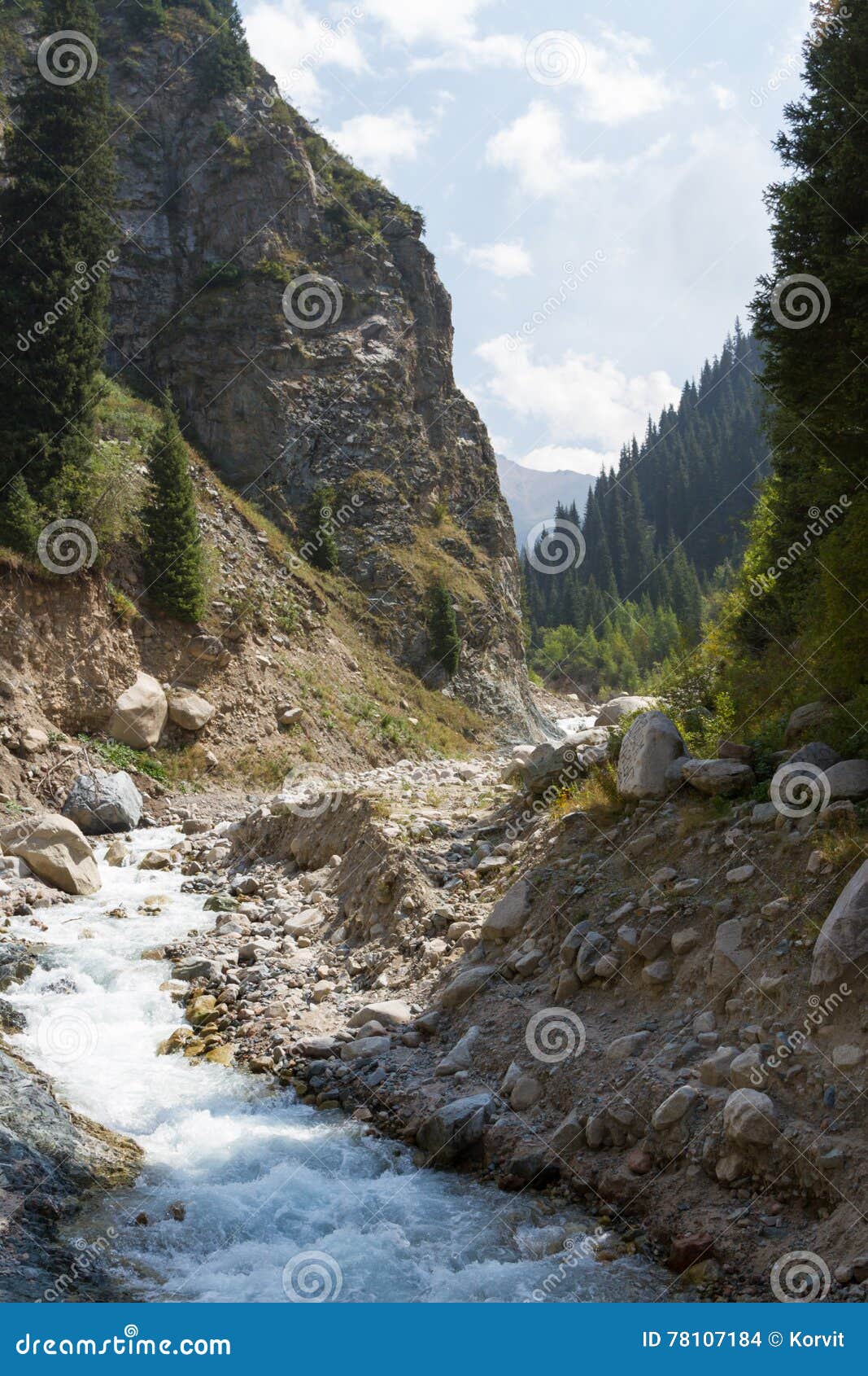 Mountain River Flowing in the Mountains Stock Photo - Image of cliff ...