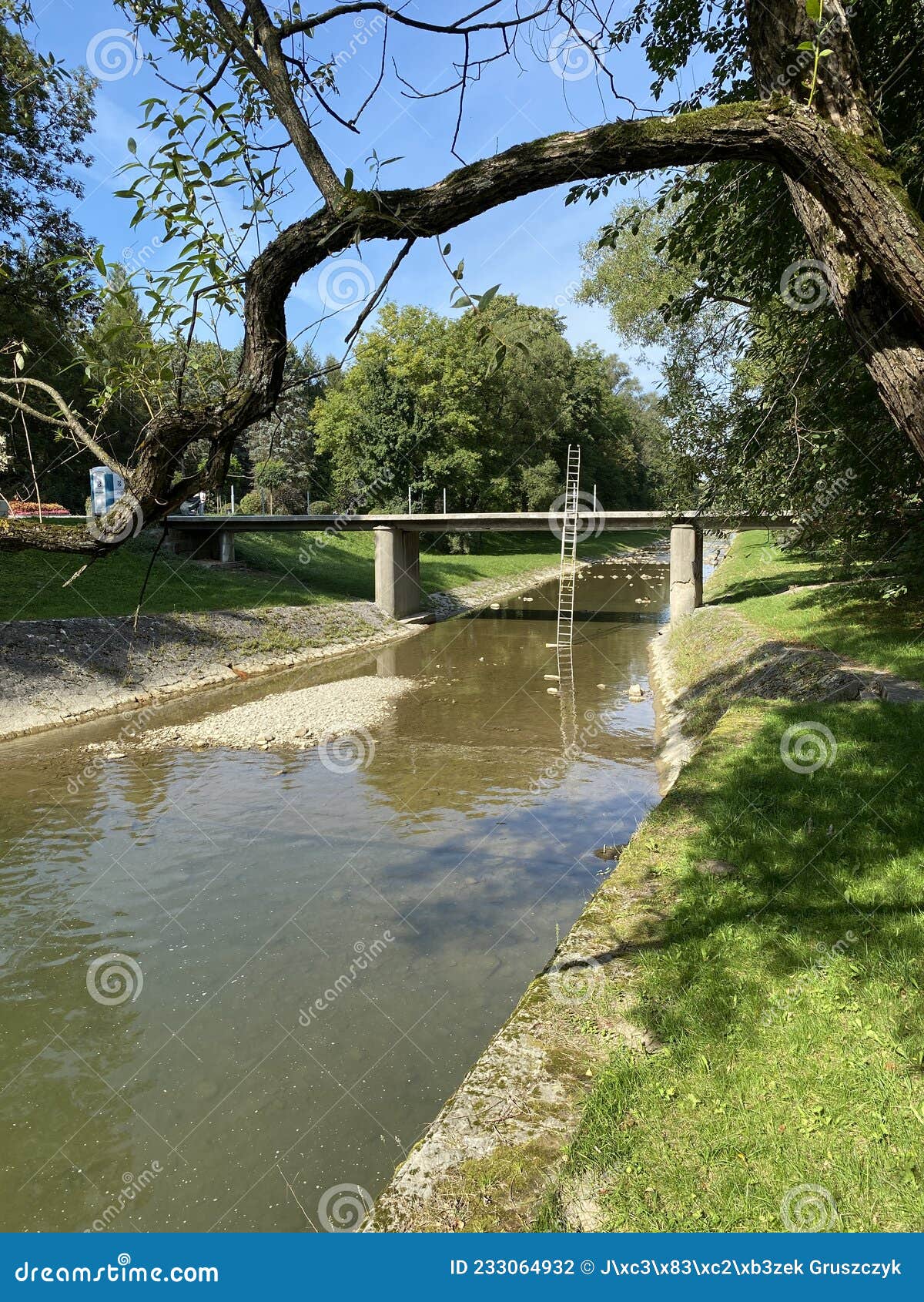 Mountain River Flowing through the Park among Greenery and Trees Stock ...