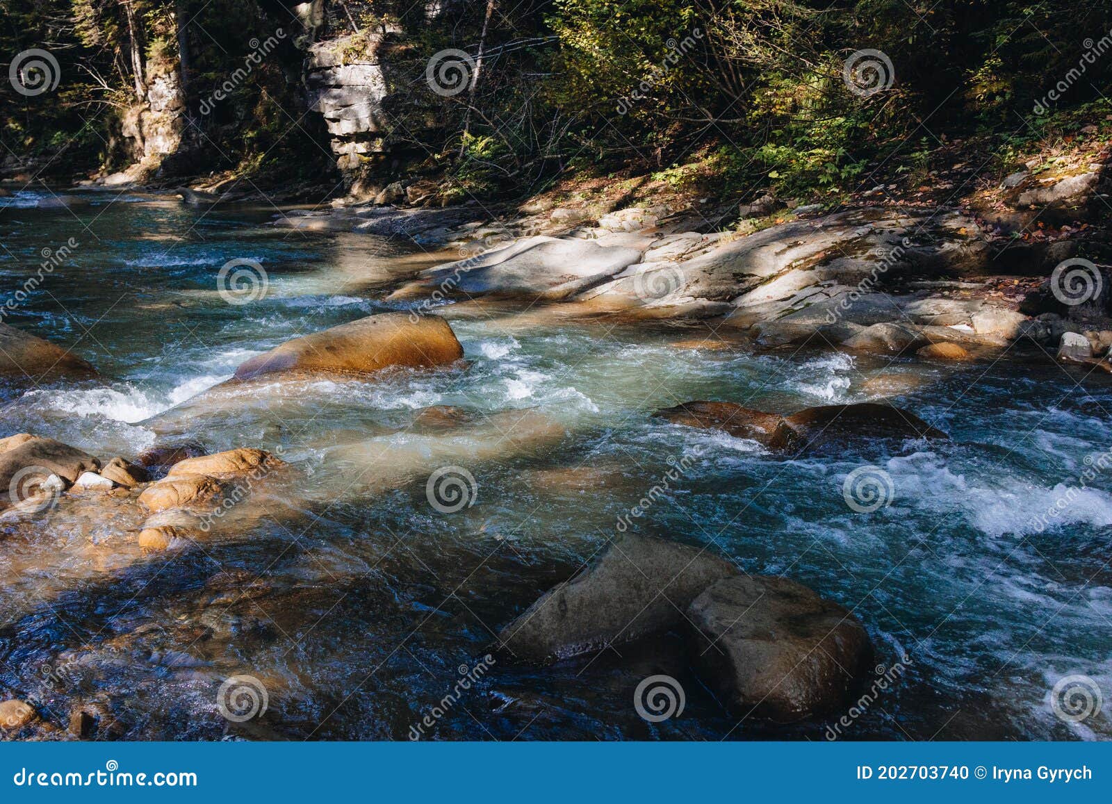 Mountain River Flowing through the Trees Stock Photo - Image of stone ...