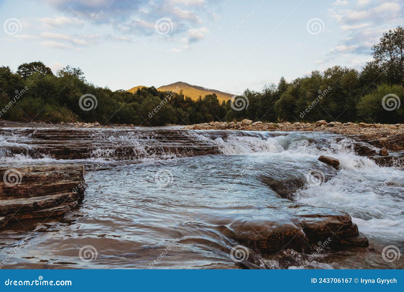 Mountain River Flowing through the Trees Stock Image - Image of ...