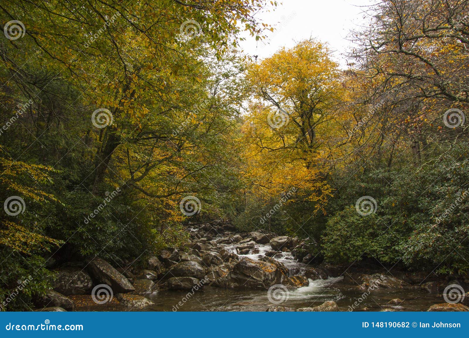 Mountain River at the Beginning of Fall Stock Photo - Image of days ...