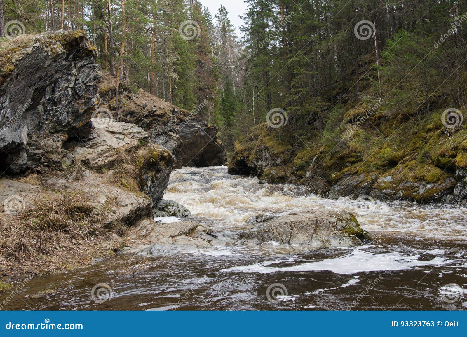A Mountain River Flows in a Forest Gorge Stock Image - Image of forest ...