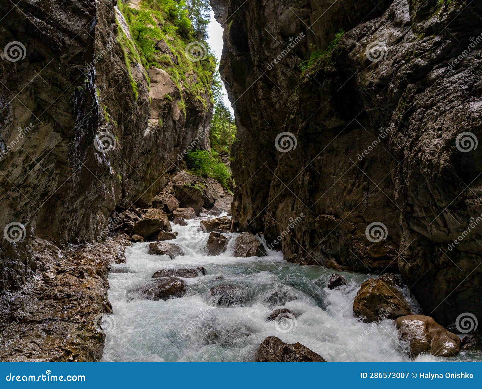 A Mountain River Flows into a Gorge between High Cliffs Covered with ...
