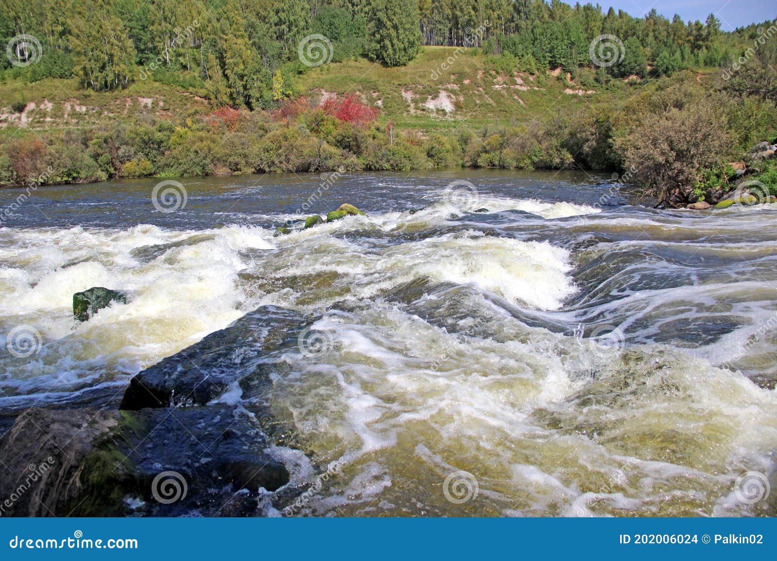 The Mountain River Flows Over the Rocks. Stock Photo - Image of needles ...