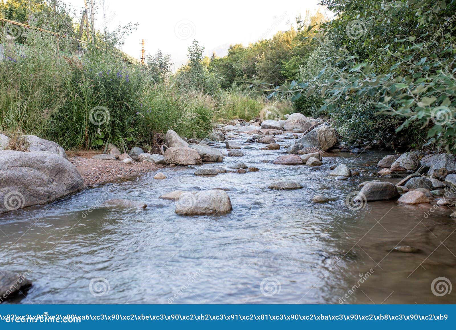 A Mountain River Flows Over Rocks among Trees Stock Photo - Image of ...