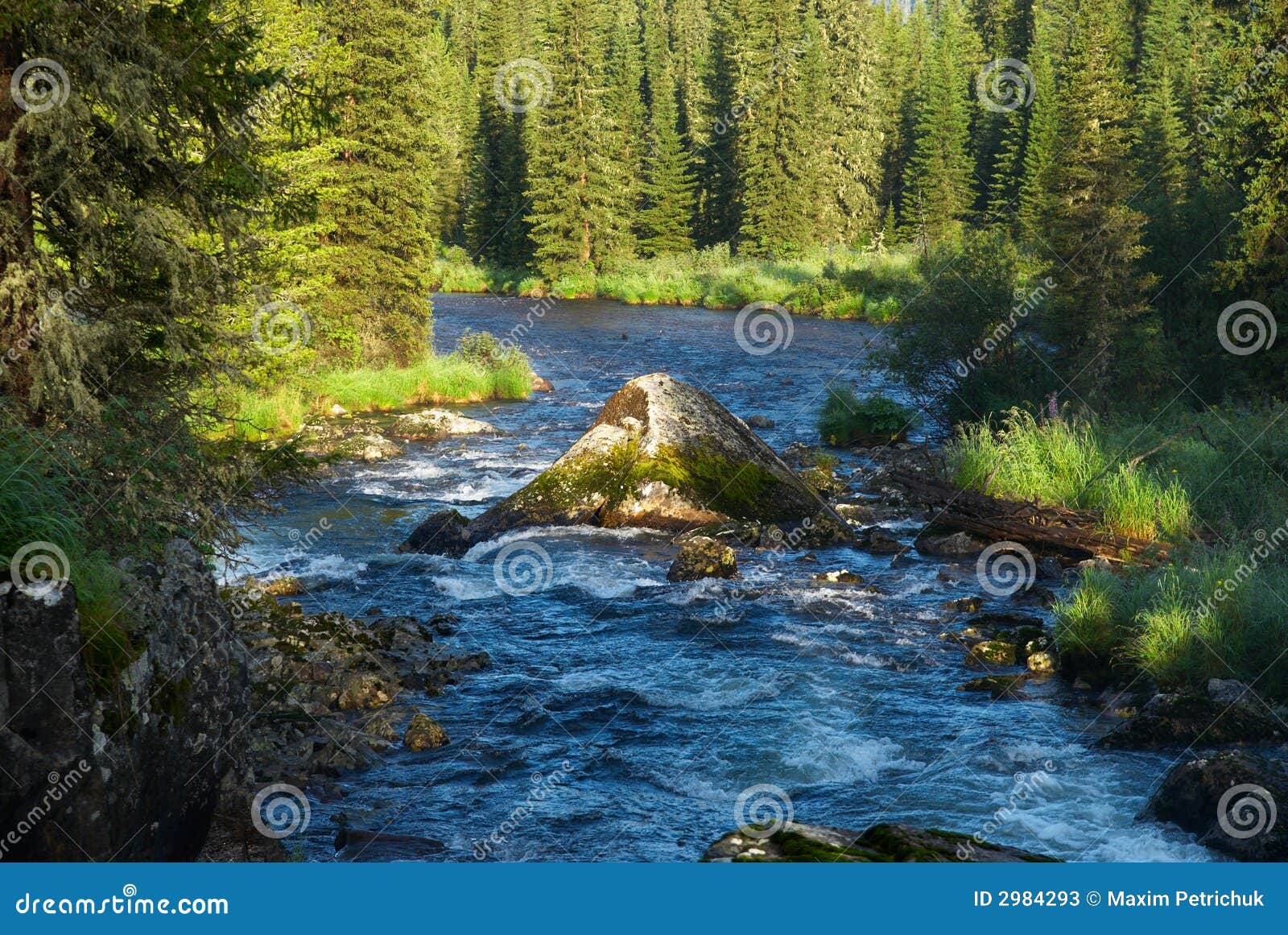 Mountain river and forest stock image. Image of scenics - 2984293