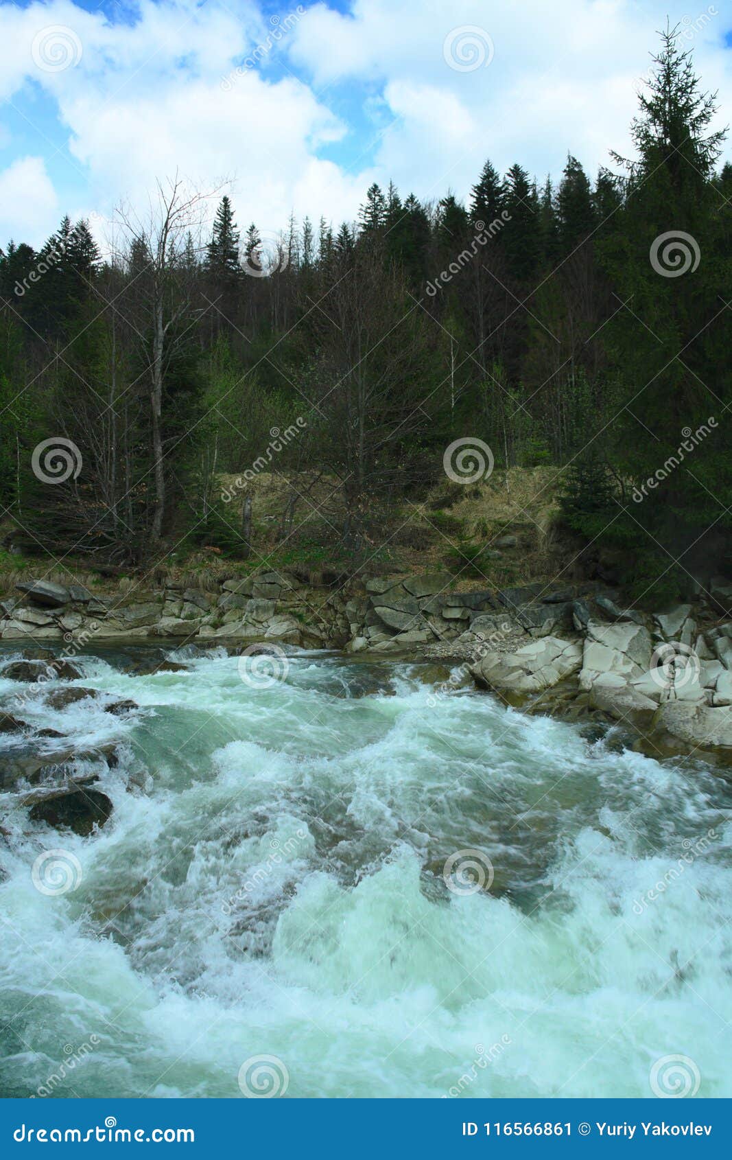 Mountain River and Forest in the Background, Summer Hiking Trails ...