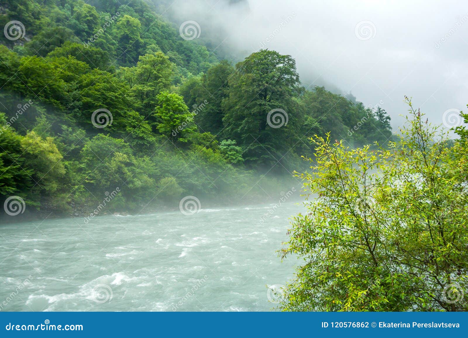 Mountain River and Forest in the Fog Over the River Stock Photo - Image ...