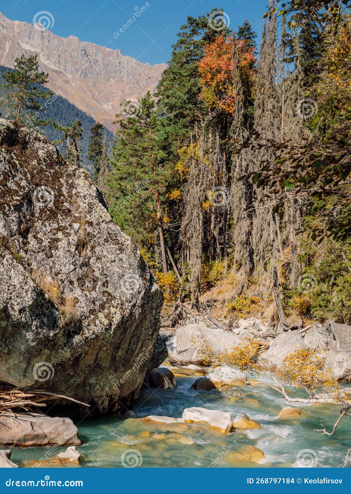 Mountain River in Forest. High Mountain Landscape with River Stock ...