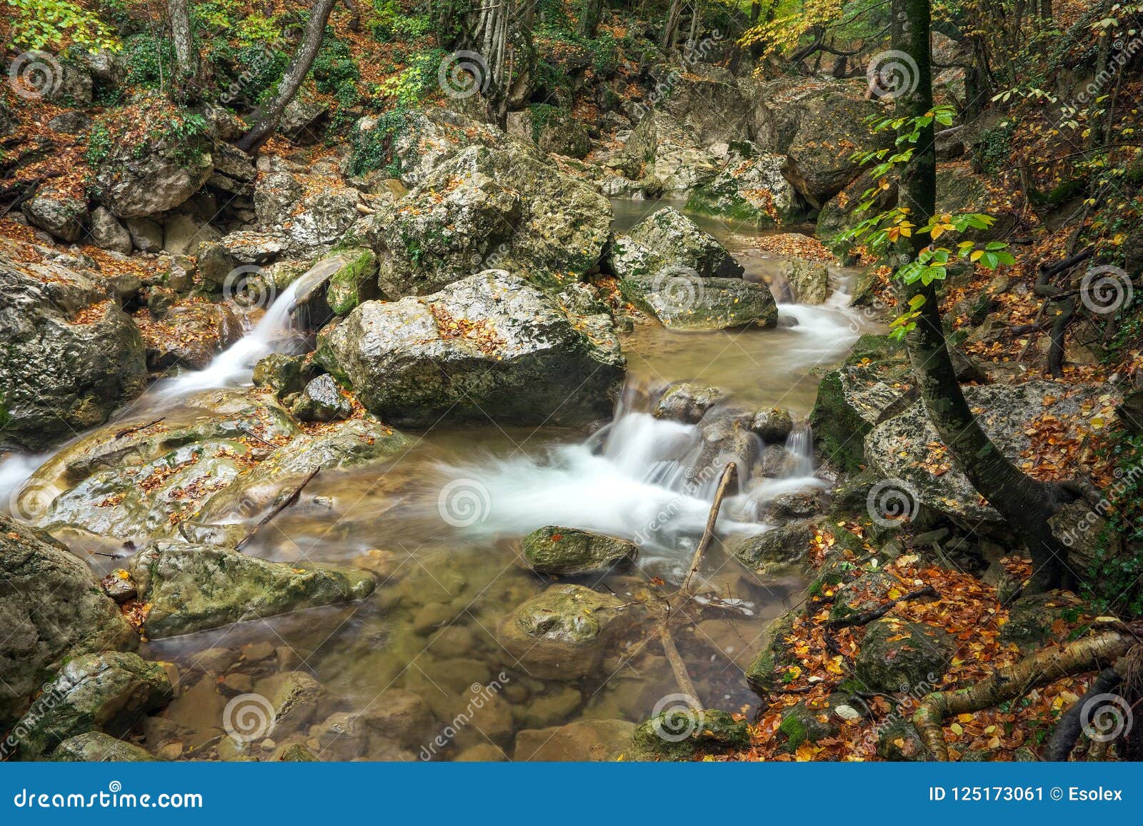 Mountain river in forest. stock image. Image of landscape - 125173061