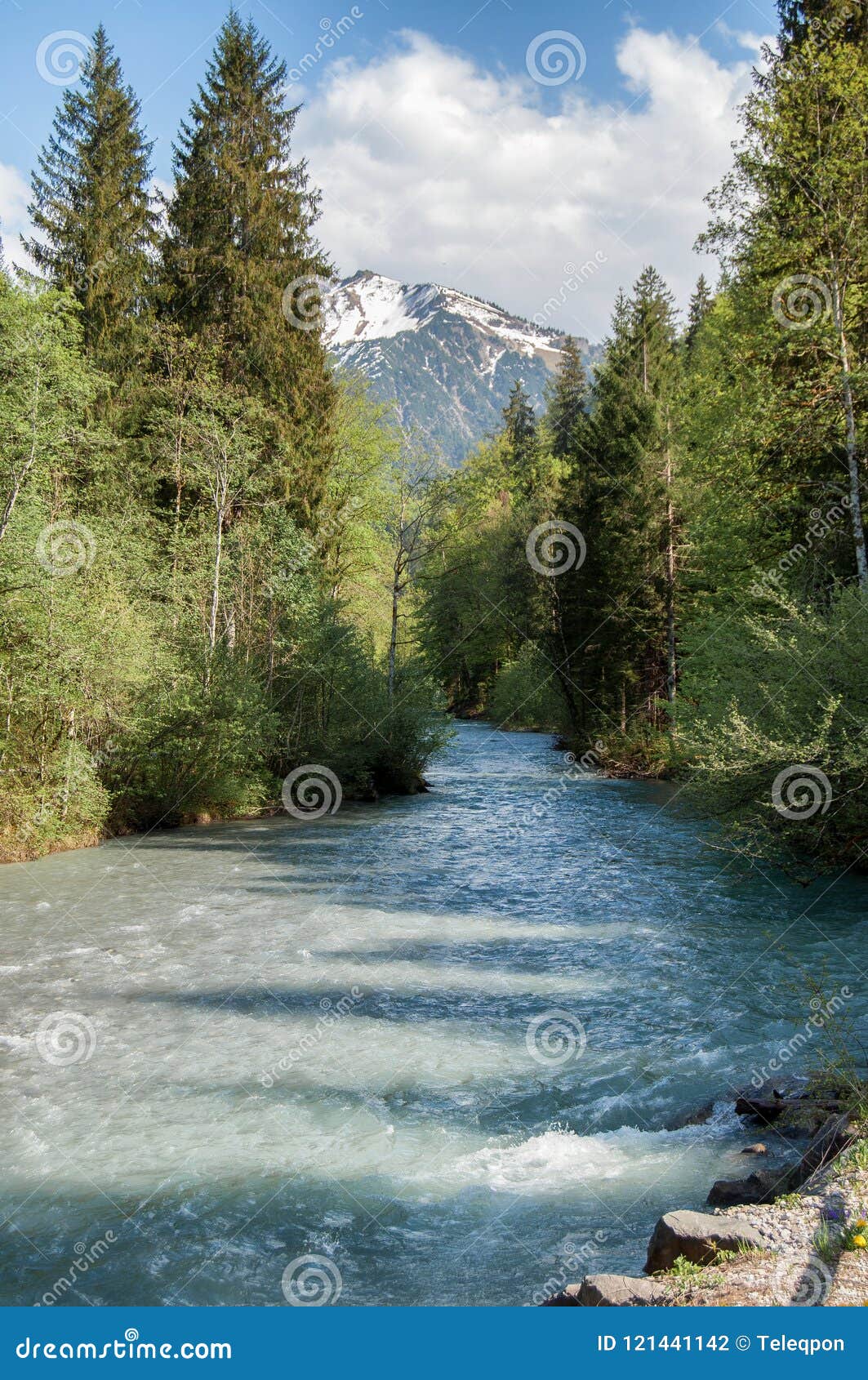 Mountain River in the Forest Stock Photo - Image of range, nature ...