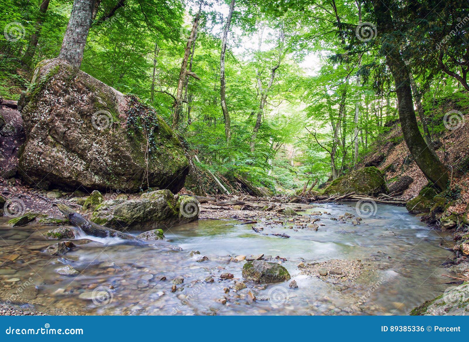 Mountain river in forest stock photo. Image of jungle - 89385336