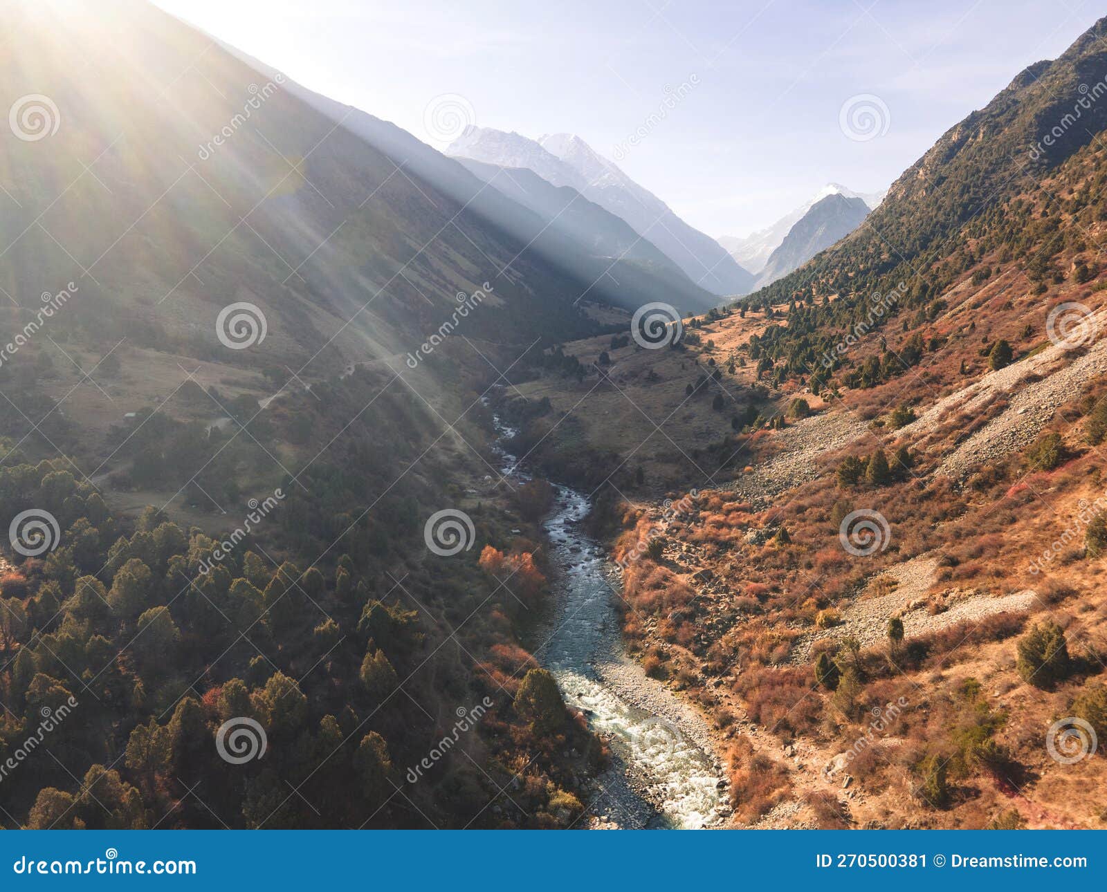Mountain River and Forest in Summer Kyrgyzstan Stock Image - Image of ...