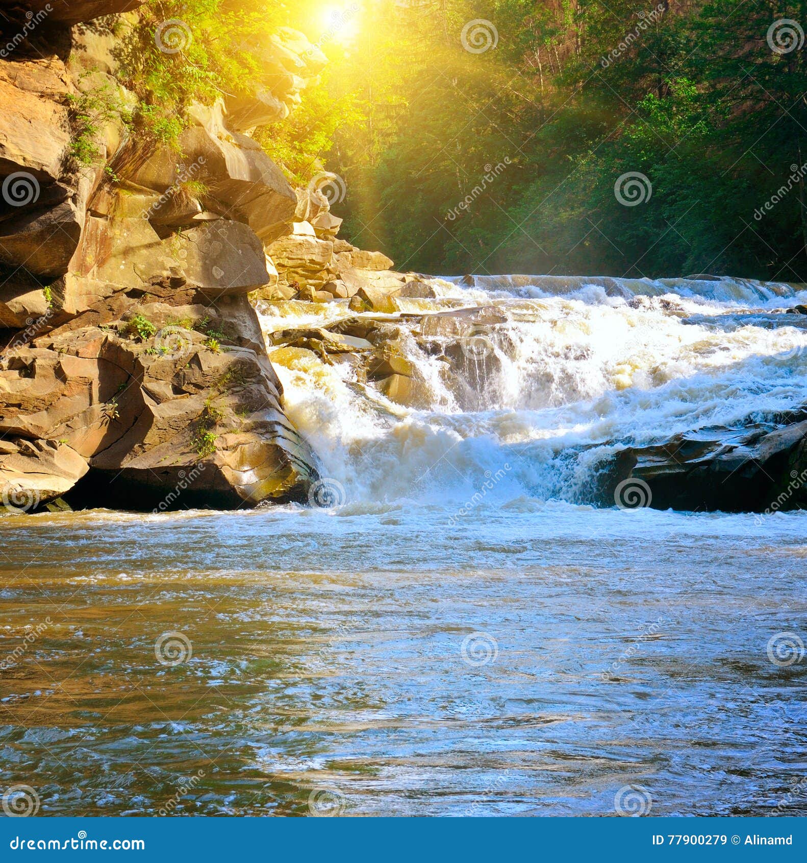 Mountain River, Forest and Sun Stock Image - Image of scenic, spring ...