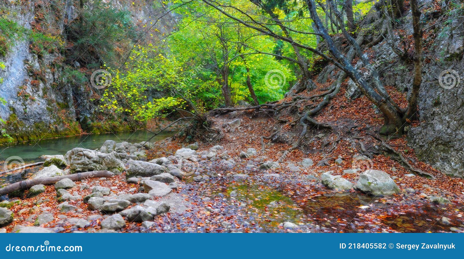 Mountain River in Forest and Mountain Terrain. Crimea the Grand Canyon ...