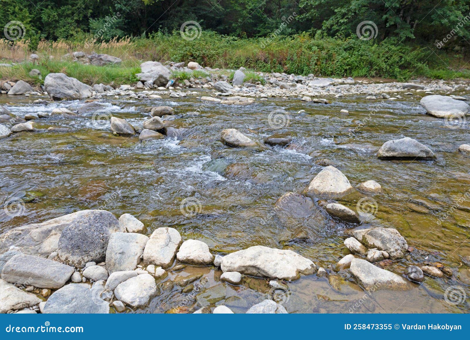 Stones in the River Flowing Next To the Forest Stock Image - Image of ...
