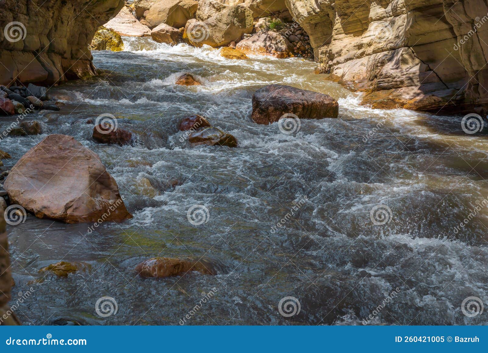 Mountain River in the Gorge Stock Image - Image of green, blue: 260421005