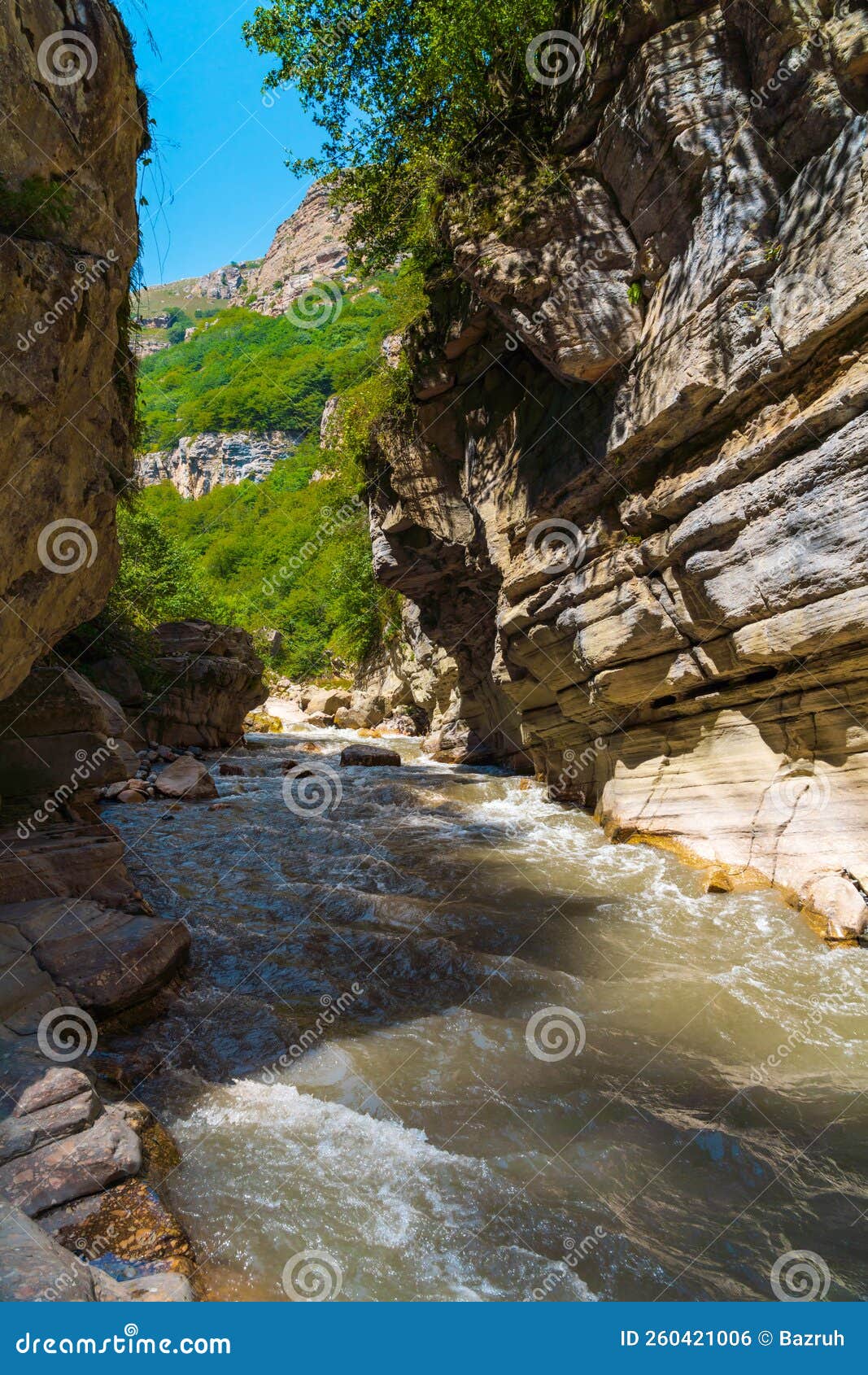 Mountain River in the Gorge Stock Photo - Image of grass, fast: 260421006