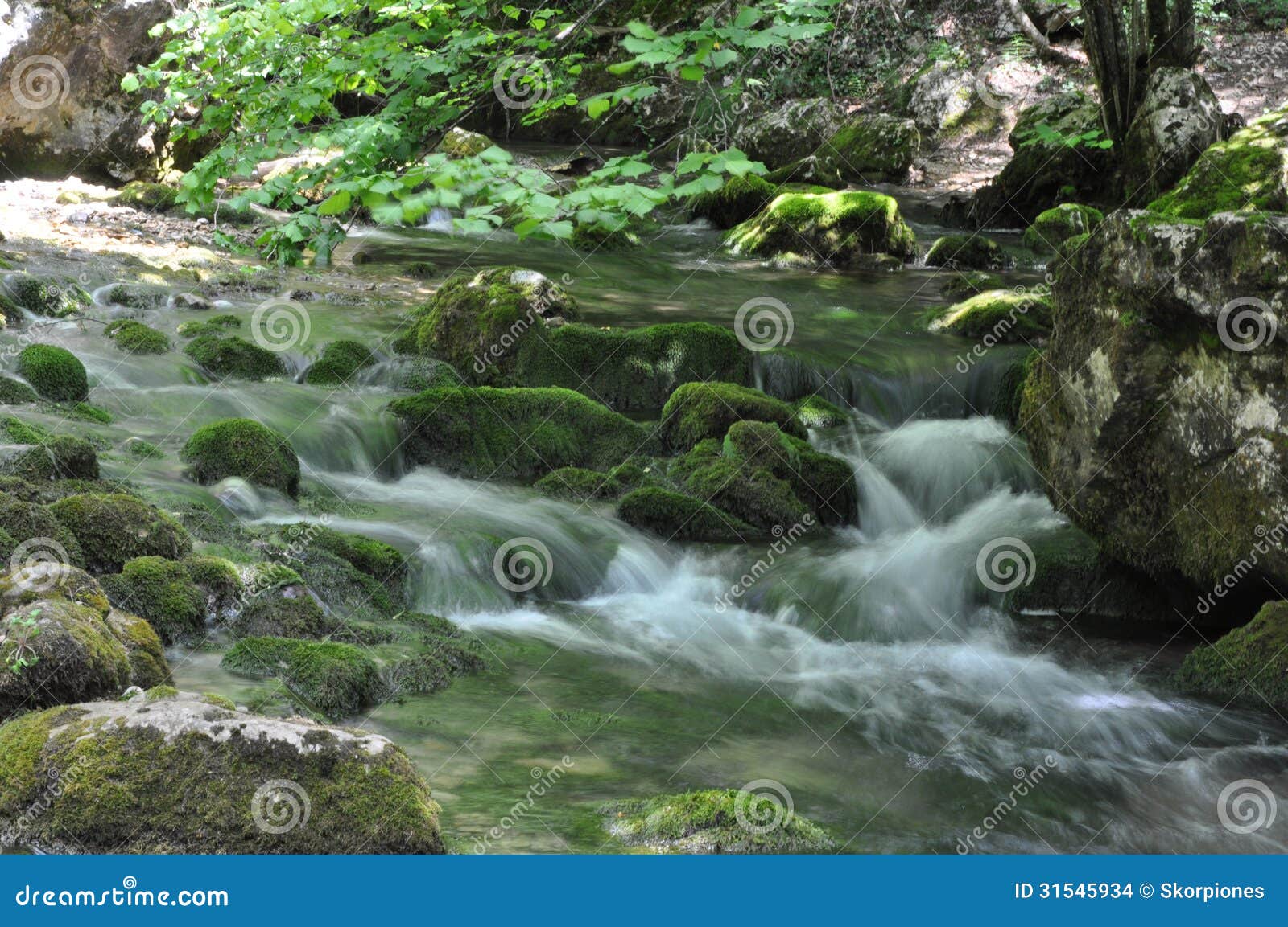 The mountain river stock photo. Image of canyon, crimea - 31545934