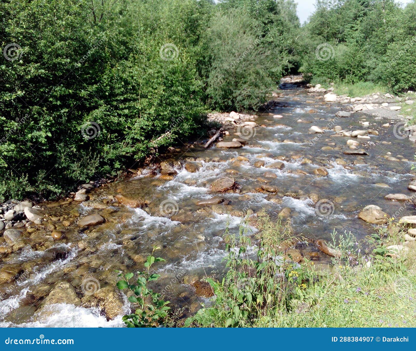 Mountain River and Green Bushes Stock Image - Image of trees, aqua ...